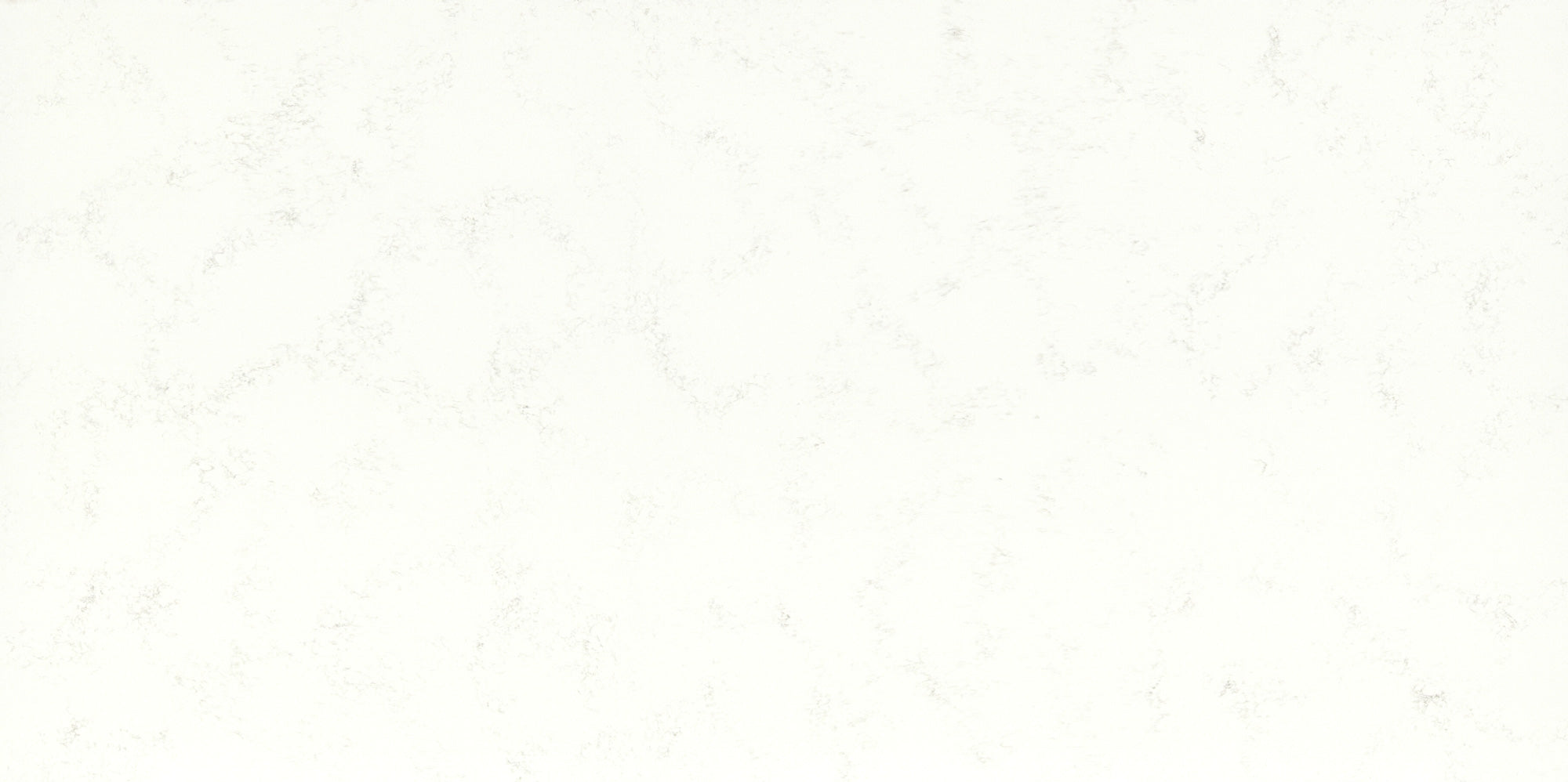 Albatros – Select Surfaces
