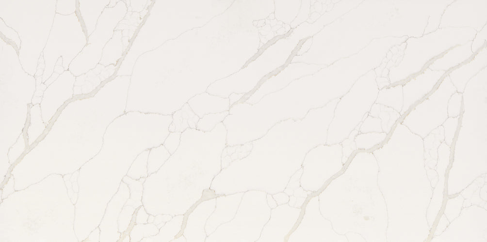 Premium Interior & Exterior Quartz Surfaces – Select Surfaces