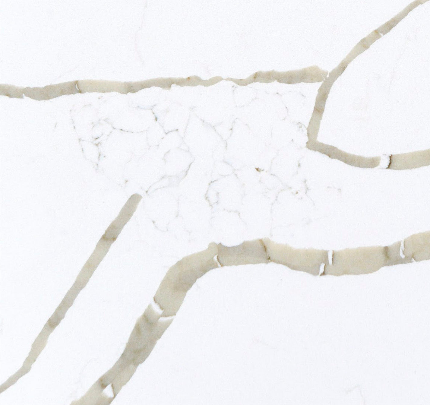 Gilded Calacatta – Select Surfaces